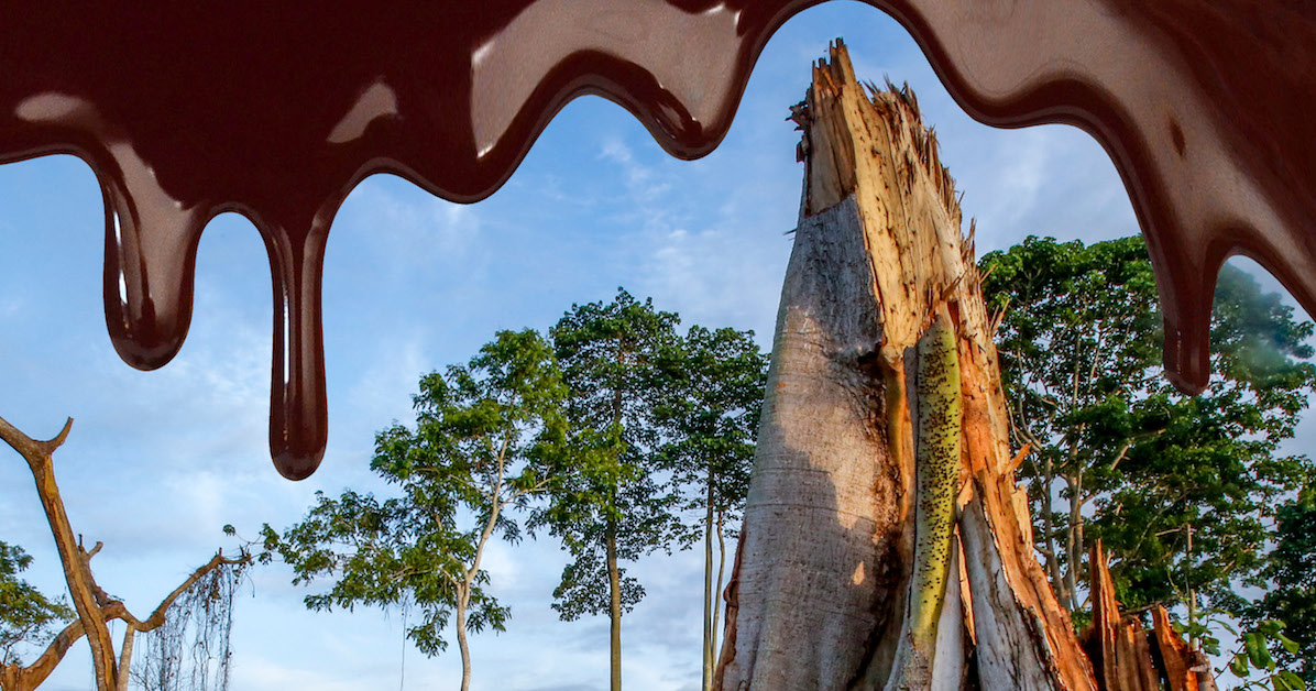 Stop chocolate corporations from funding this environmental crisis