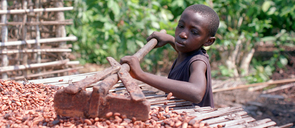 Chip in now to stop child labour in Cocoa!