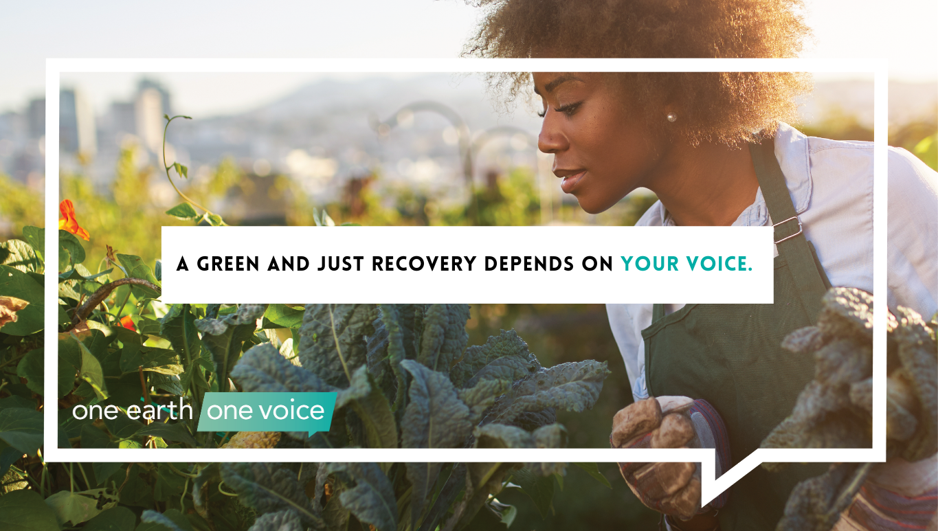 Invest in a Green and Just Recovery now!