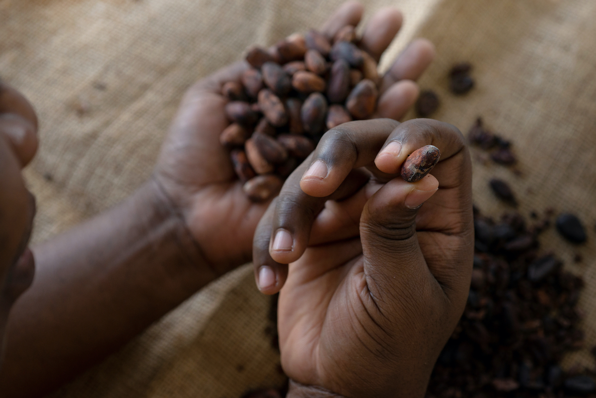 Chip in to end child slavery in the chocolate industry