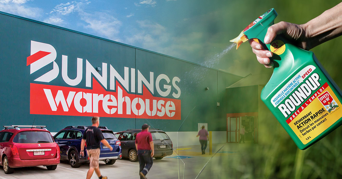 Bunnings petition delivery & BBQ