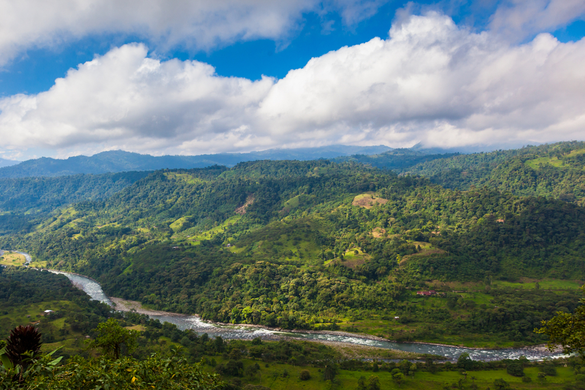 Chip in to save Ecuador's Chocó rainforest!