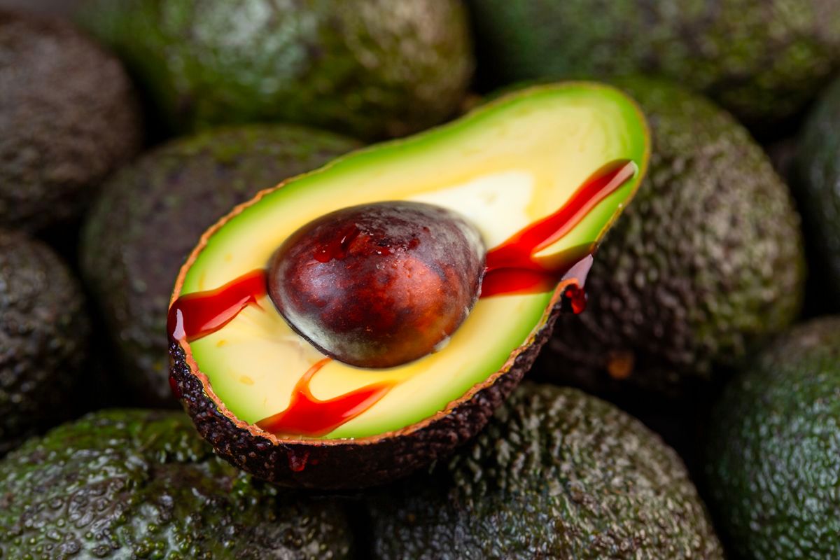 Keine Abholzung für Avocados!