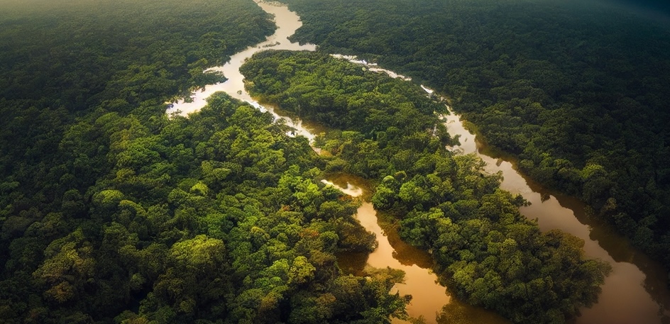 Erstellen wir einen Atlas des Amazonas