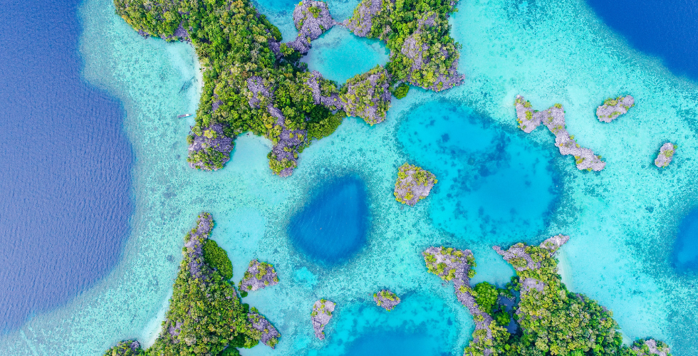 Stop fossil fuel projects in Coral Triangle